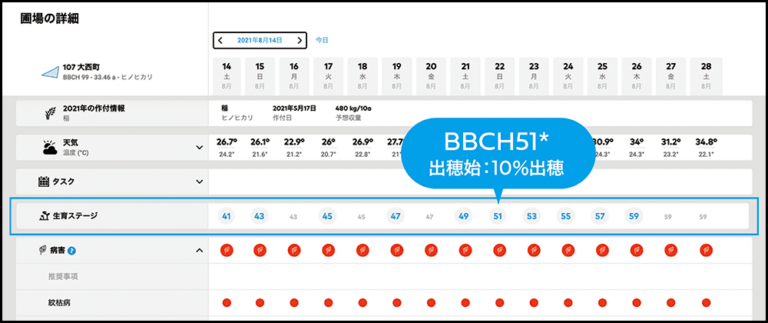 BBCHとは？ 勘に頼らない稲作のスマート農業